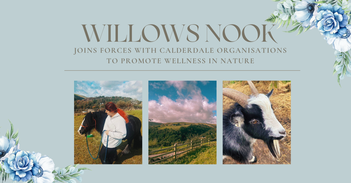 Willows Nook Joins Forces with Calderdale Organisations to Promote ...